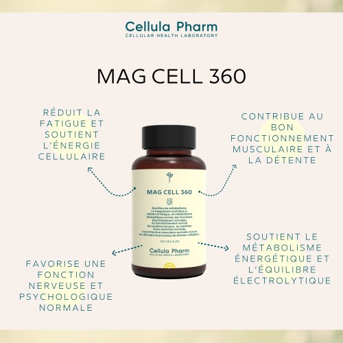 Mag Cell 360 - Magnésium Bisglycinate Chélaté 360 mg en Gélule ...